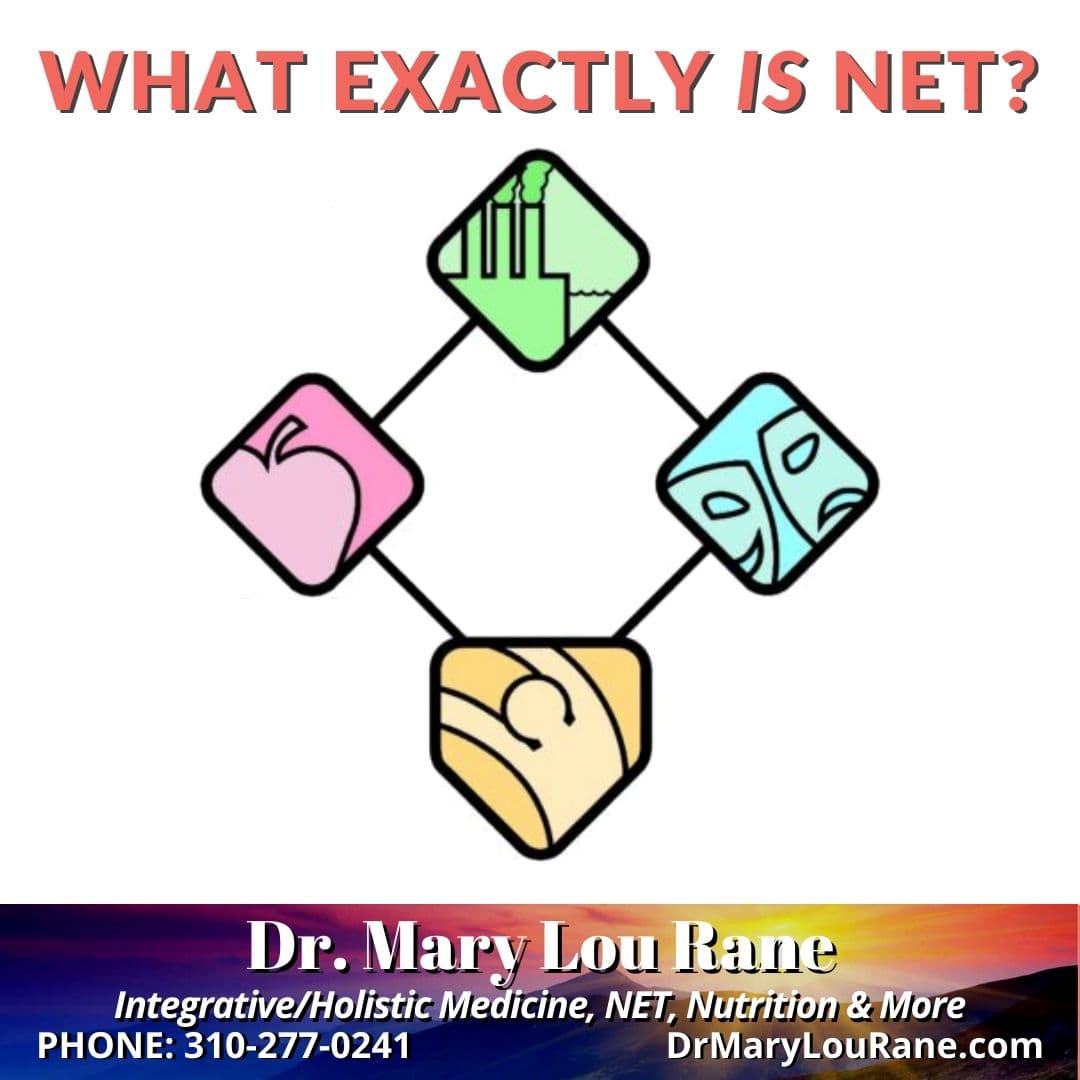 Neuro Emotional Technique: Why You Should Care - Dr. Mary Lou Rane ...